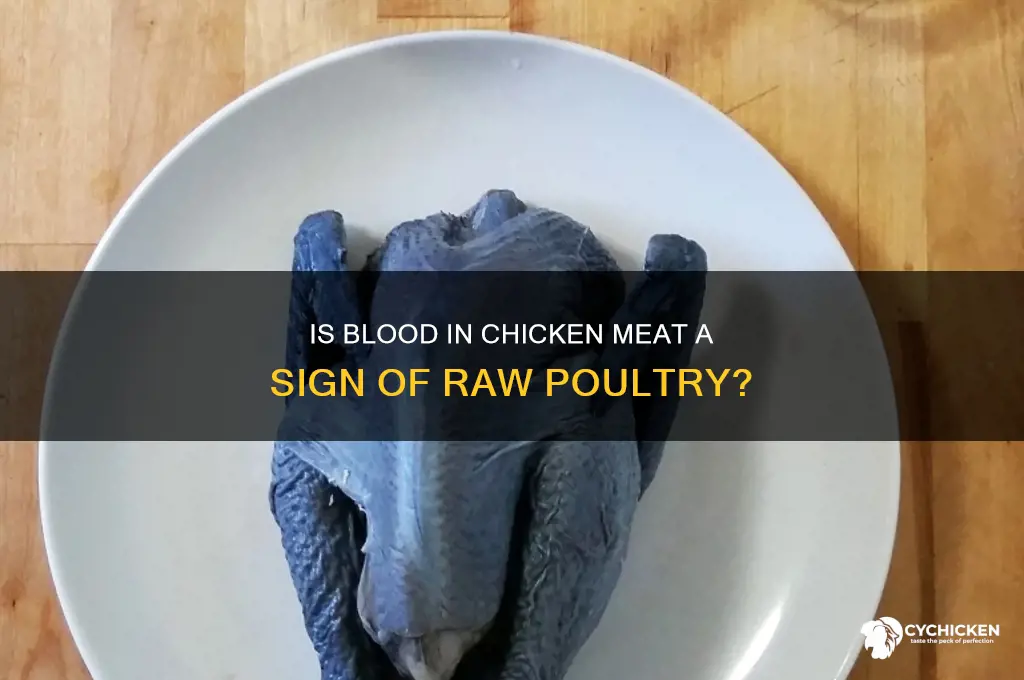 Is Blood In Chicken Meat A Sign Of Raw Poultry? | CyChicken
