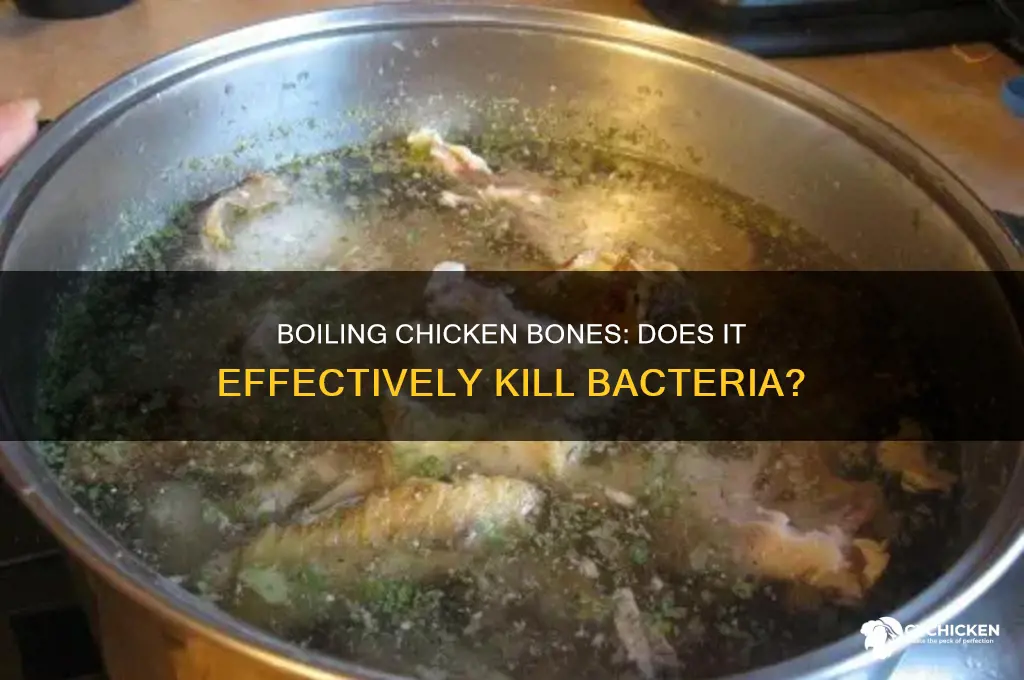Boiling Chicken Bones: Does It Effectively Kill Bacteria? | CyChicken