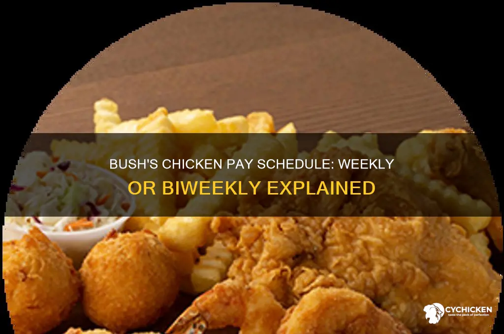 Bush's Chicken Pay Schedule: Weekly Or Biweekly Explained | CyChicken