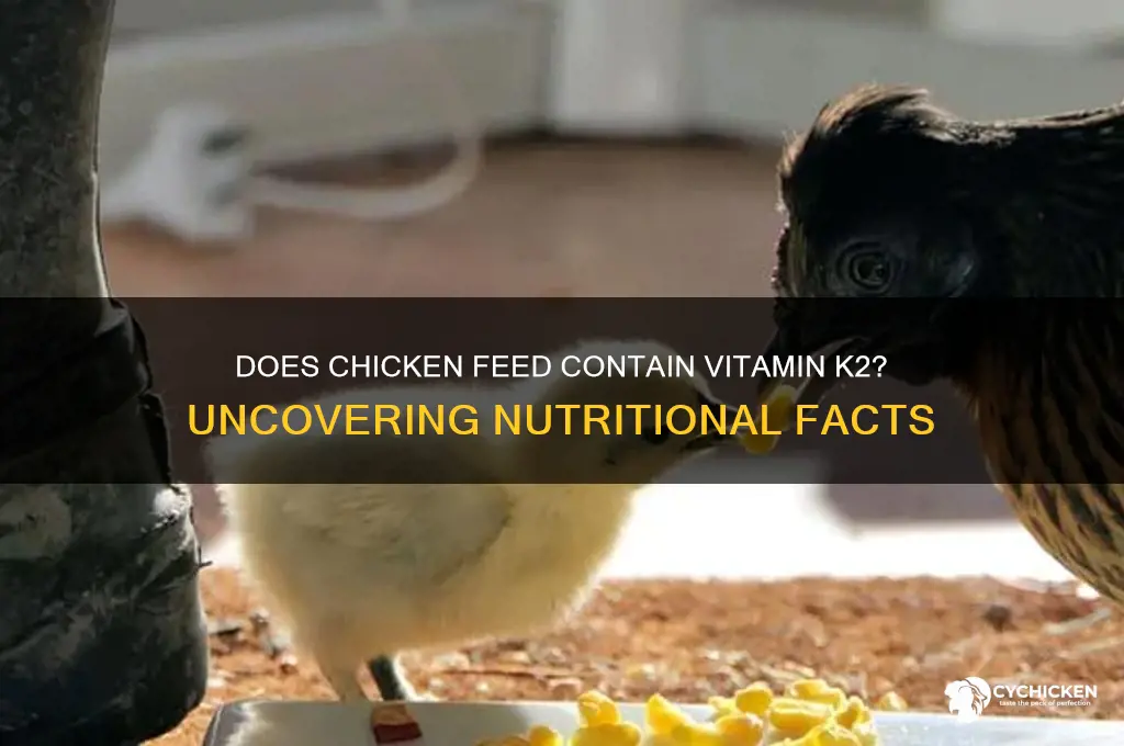 Does Chicken Feed Contain Vitamin K2? Uncovering Nutritional Facts ...