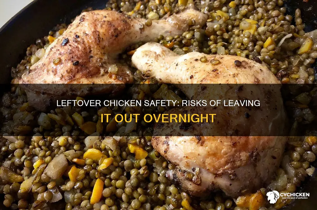 Leftover Chicken Safety: Risks Of Leaving It Out Overnight | CyChicken