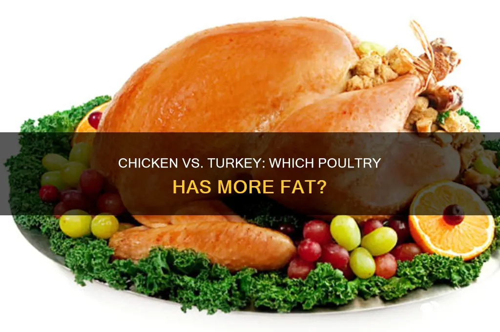 Chicken Vs. Turkey: Which Poultry Has More Fat? | CyChicken