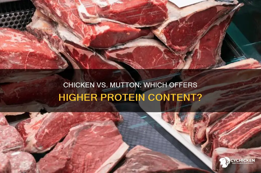Chicken Vs. Mutton: Which Offers Higher Protein Content? | CyChicken