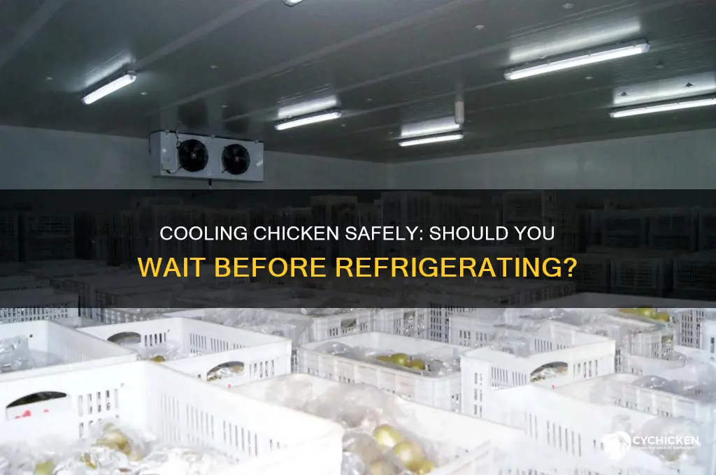 Cooling Chicken Safely: Should You Wait Before Refrigerating? | CyChicken