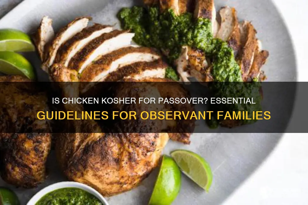 Is Chicken Kosher For Passover? Essential Guidelines For Observant ...