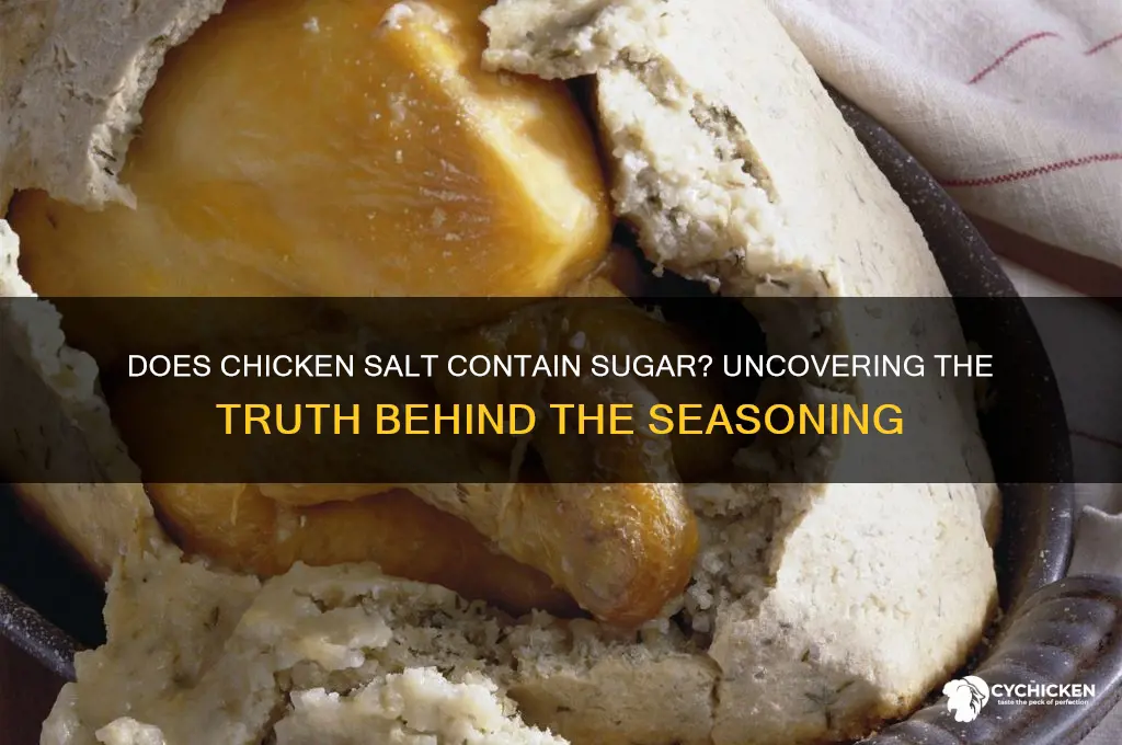 Does Chicken Salt Contain Sugar? Uncovering The Truth Behind The ...