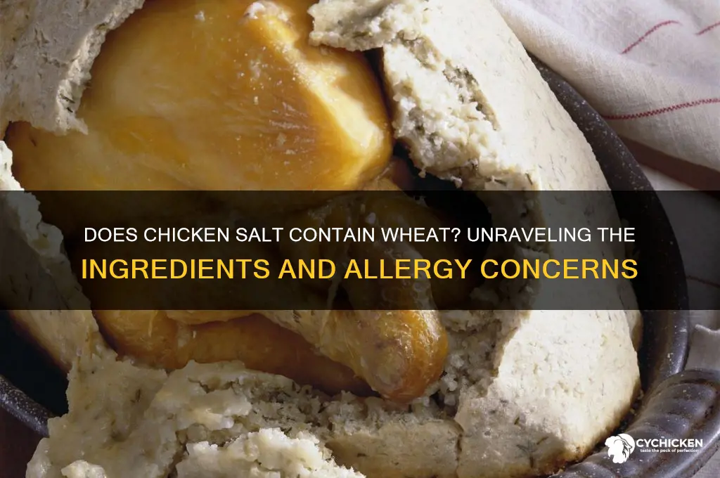 Does Chicken Salt Contain Wheat? Unraveling The Ingredients And Allergy ...