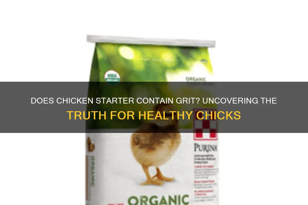 Does Chicken Starter Contain Grit? Uncovering The Truth For Healthy ...