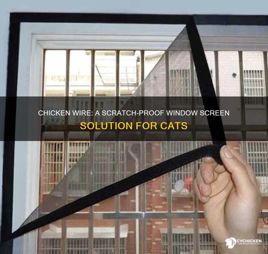 Chicken Wire: A Scratch-Proof Window Screen Solution For Cats | CyChicken