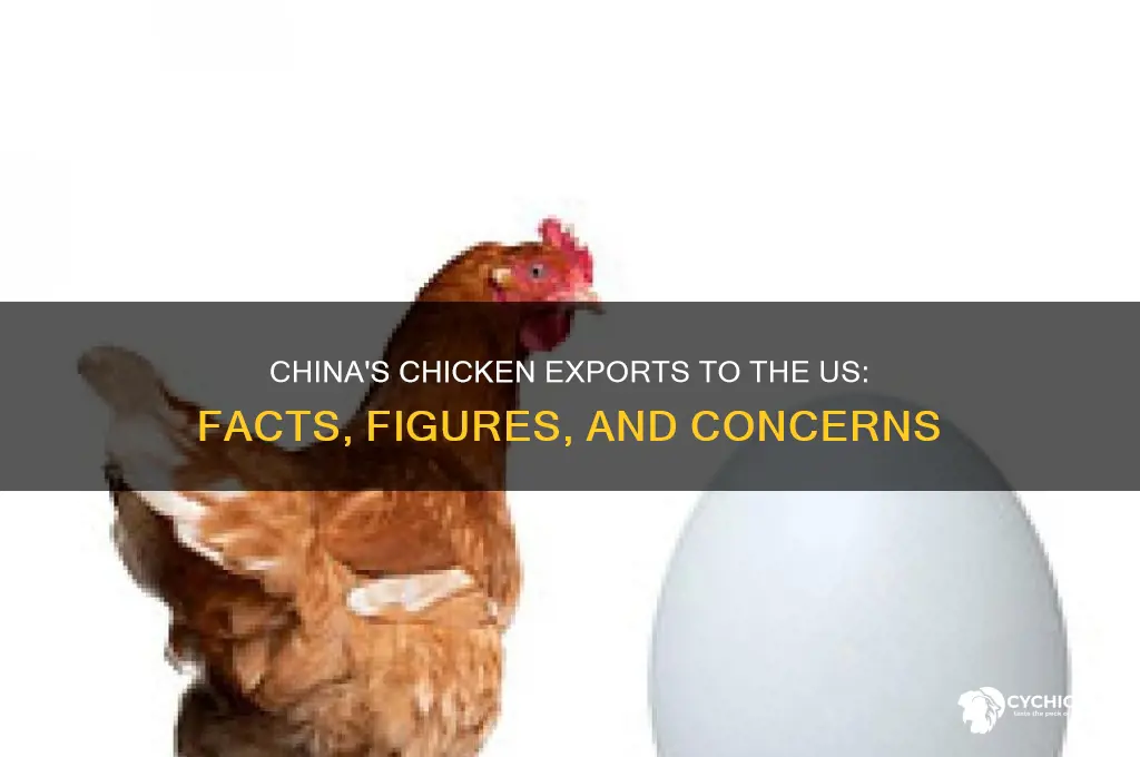 China's Chicken Exports To The Us: Facts, Figures, And Concerns | CyChicken