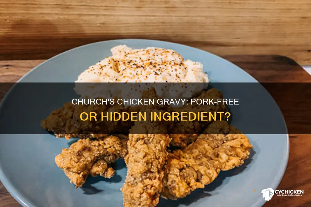Church's Chicken Gravy: Pork-Free Or Hidden Ingredient? | CyChicken