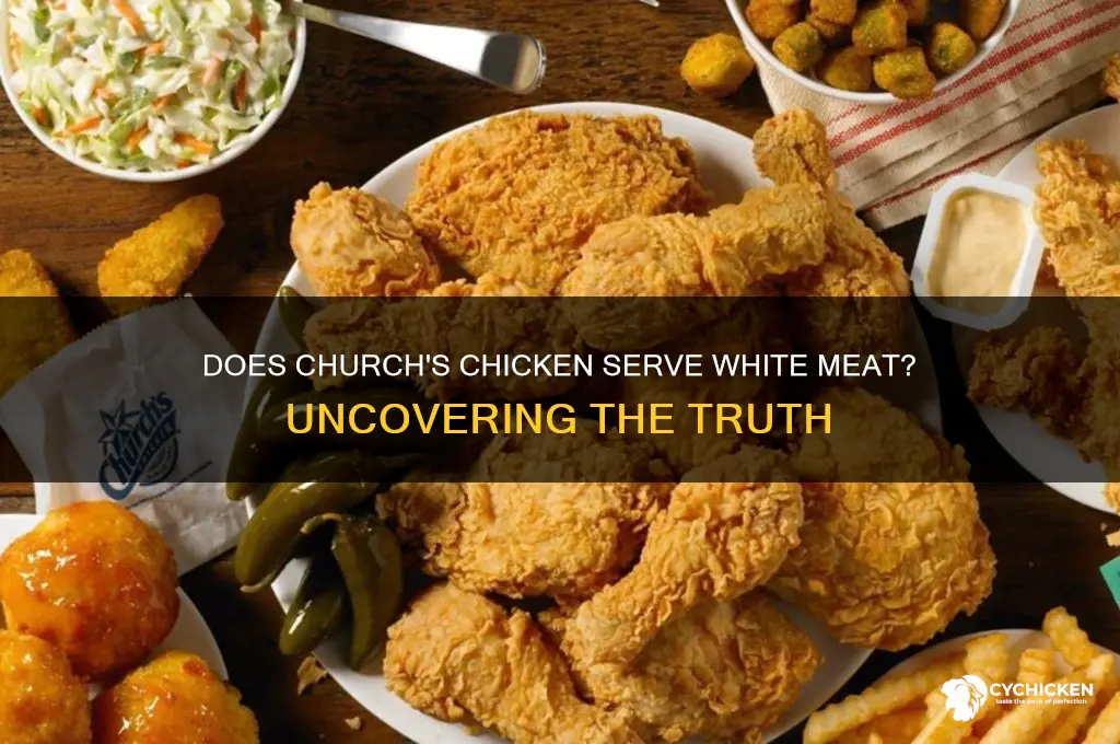 Does Church's Chicken Serve White Meat? Uncovering The Truth | CyChicken