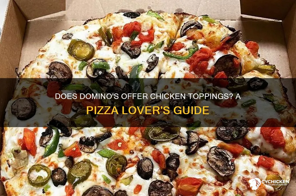 Does Domino's Offer Chicken Toppings? A Pizza Lover's Guide | CyChicken