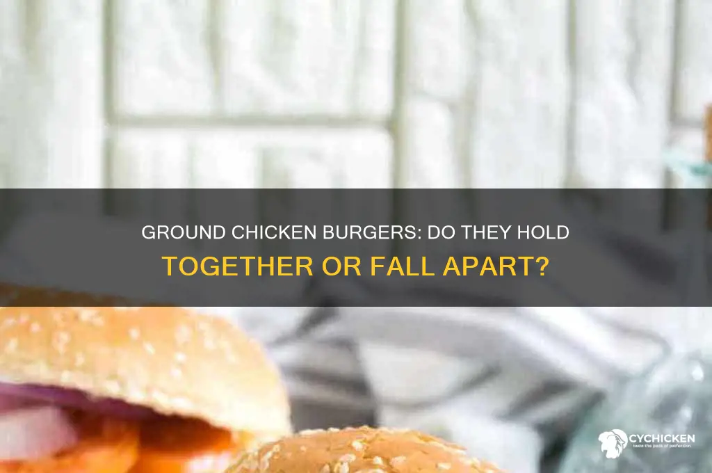 Ground Chicken Burgers: Do They Hold Together Or Fall Apart? | CyChicken