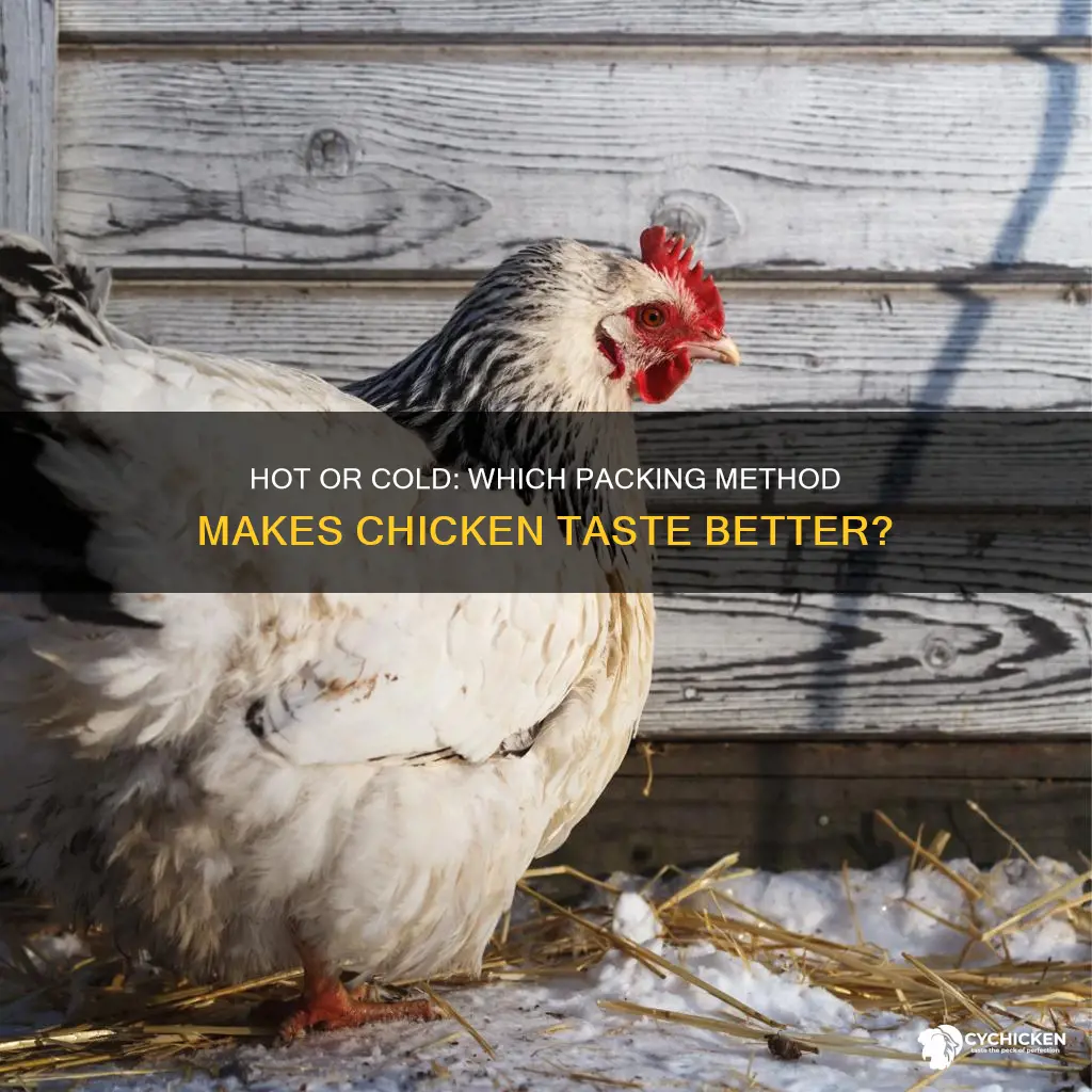 Hot Or Cold: Which Packing Method Makes Chicken Taste Better? | CyChicken