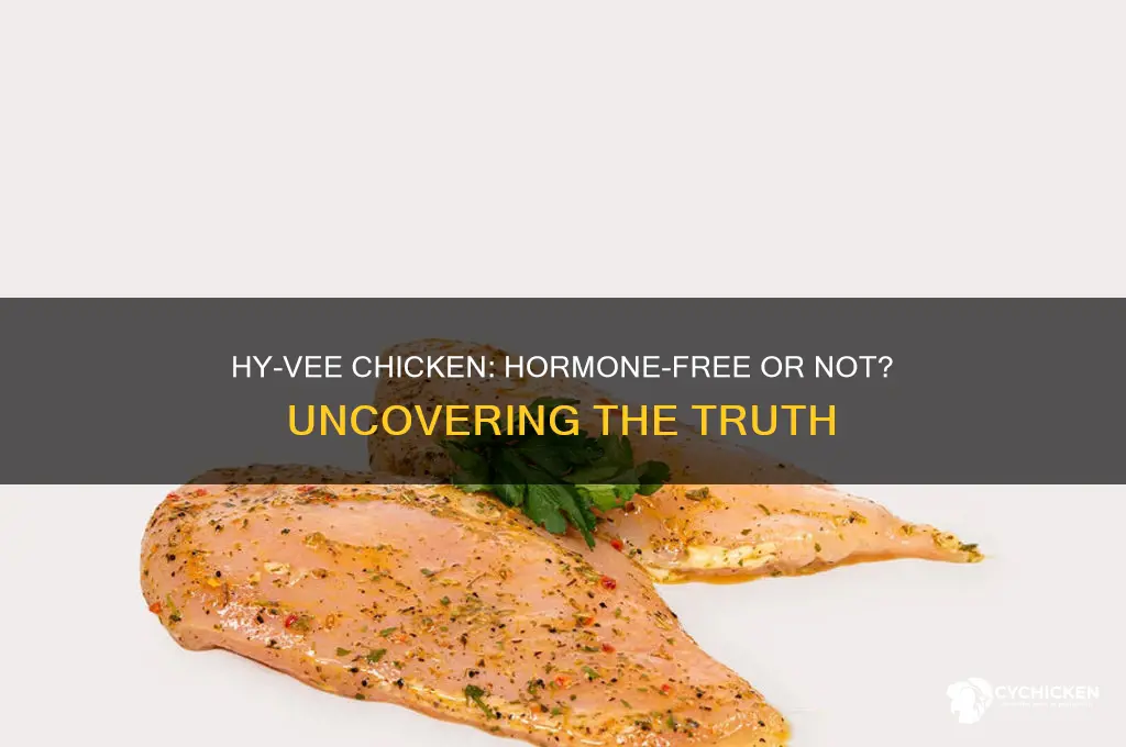 Hy-Vee Chicken: Hormone-Free Or Not? Uncovering The Truth | CyChicken
