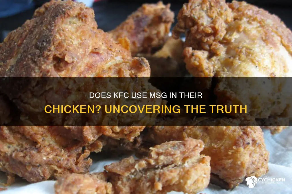 Does Kfc Use Msg In Their Chicken? Uncovering The Truth | CyChicken