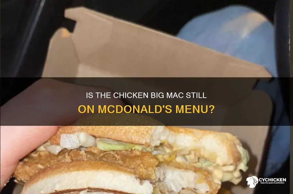 Is The Chicken Big Mac Still On Mcdonald's Menu? | CyChicken