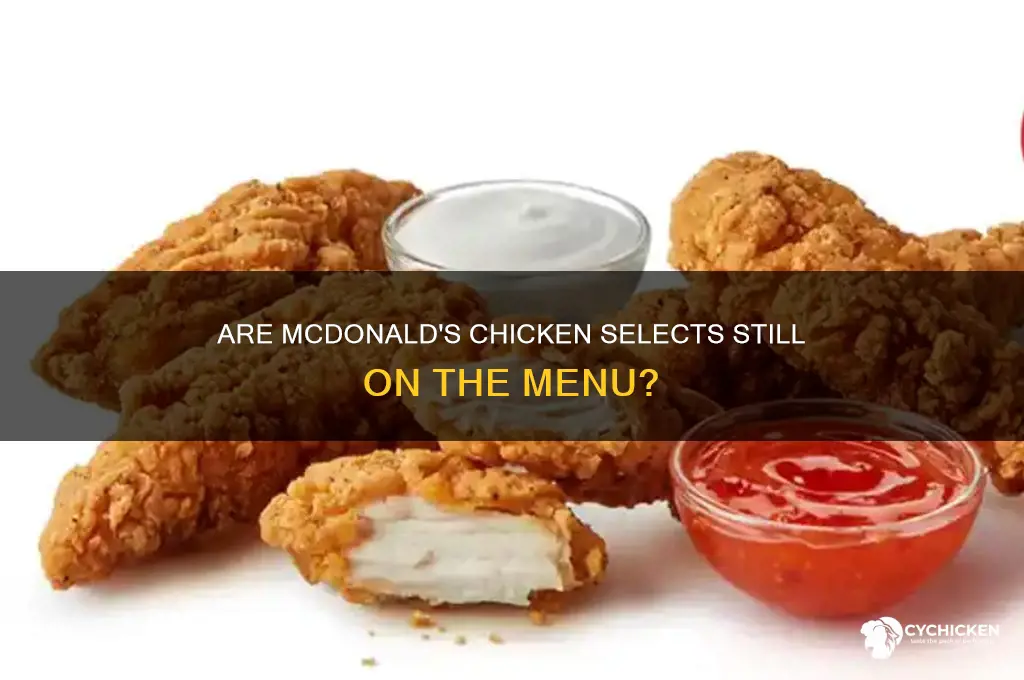 Are Mcdonald's Chicken Selects Still On The Menu? | CyChicken