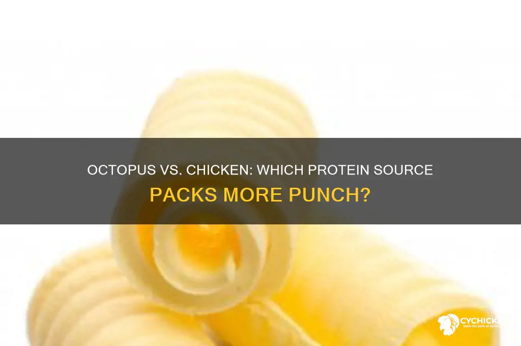 Octopus Vs. Chicken: Which Protein Source Packs More Punch? | CyChicken