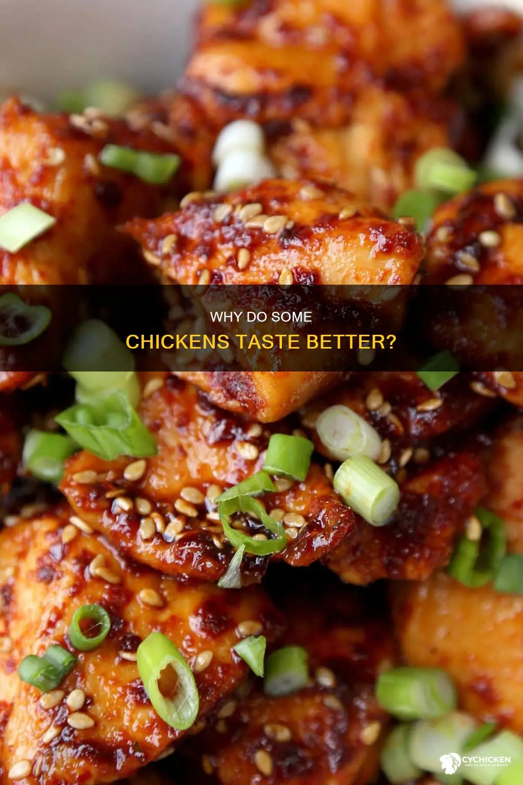 Why Do Some Chickens Taste Better? | CyChicken
