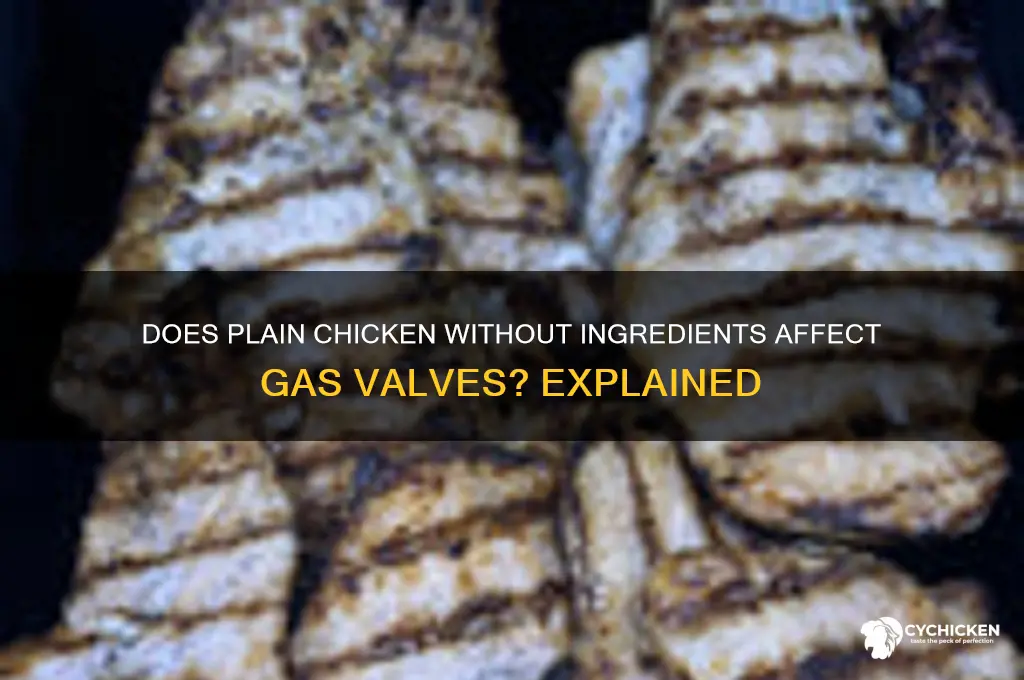 Does Plain Chicken Without Ingredients Affect Gas Valves? Explained ...