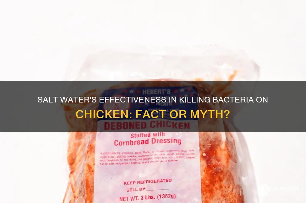 Salt Water's Effectiveness In Killing Bacteria On Chicken: Fact Or Myth ...