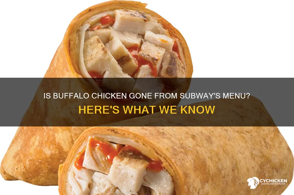 Is Buffalo Chicken Gone From Subway's Menu? Here's What We Know | CyChicken