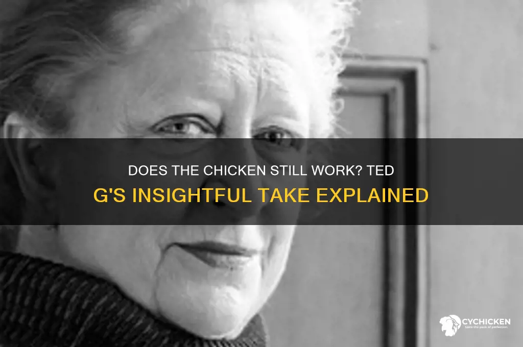 Does The Chicken Still Work? Ted G's Insightful Take Explained | CyChicken