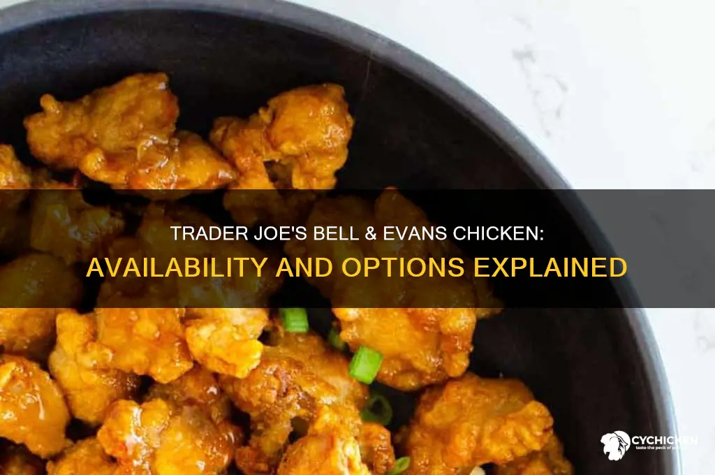 Trader Joe's Bell & Evans Chicken: Availability And Options Explained ...