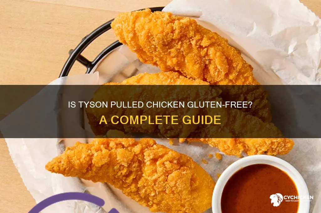 Is Tyson Pulled Chicken Gluten-Free? A Complete Guide | CyChicken