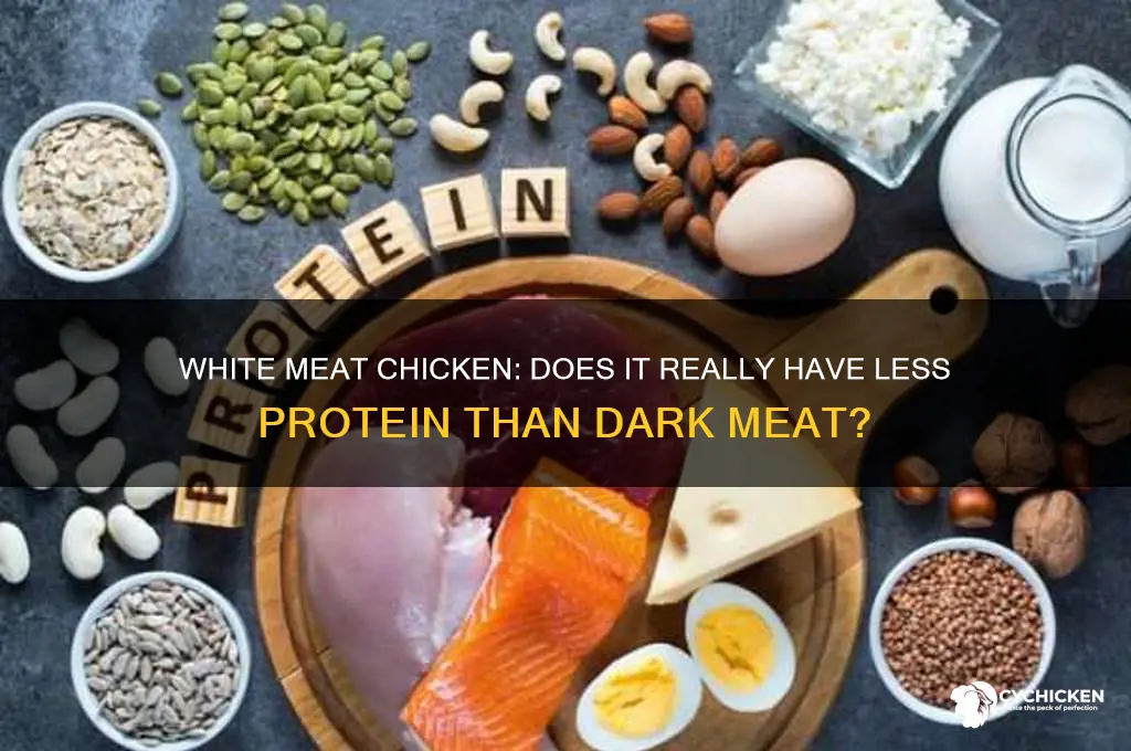 White Meat Chicken: Does It Really Have Less Protein Than Dark Meat ...