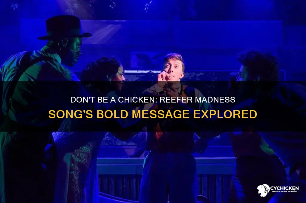 Don't Be A Chicken: Reefer Madness Song's Bold Message Explored | CyChicken