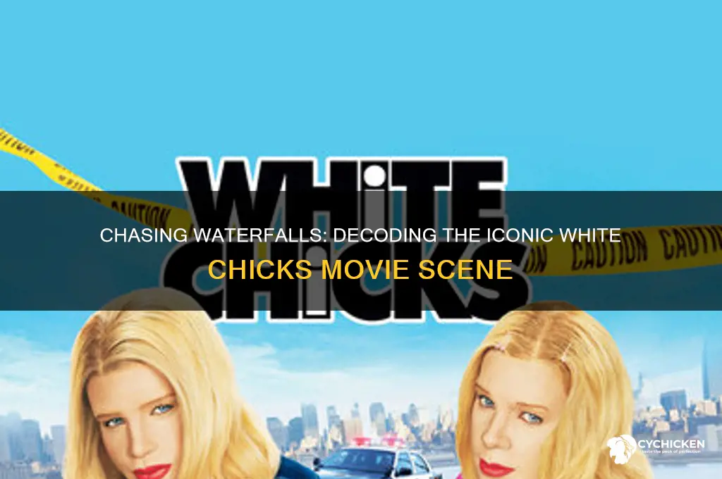 Chasing Waterfalls: Decoding The Iconic White Chicks Movie Scene ...