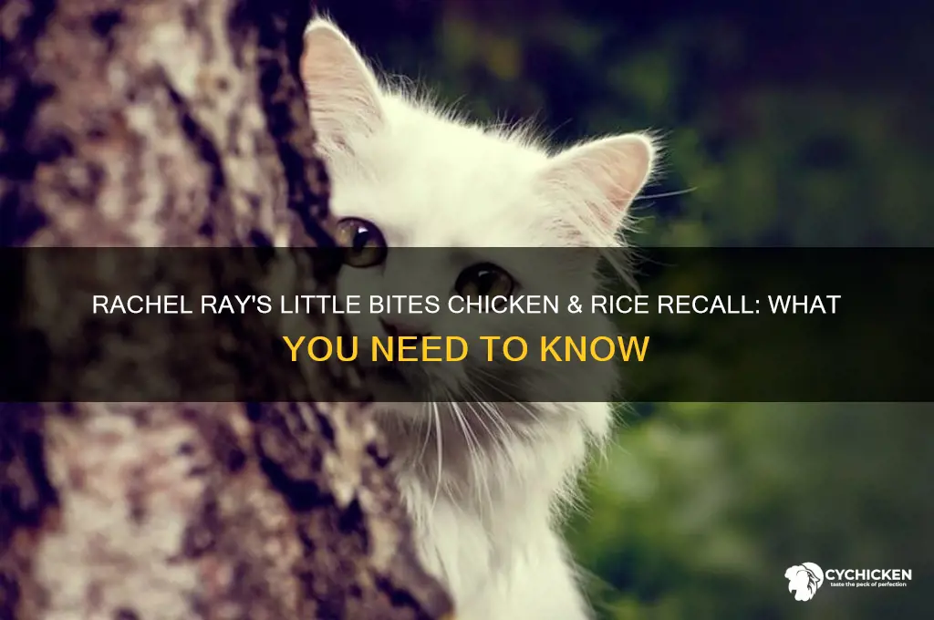Rachel Ray's Little Bites Chicken & Rice Recall: What You Need To Know ...