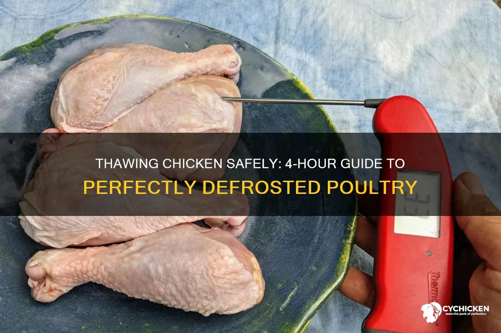 Thawing Chicken Safely: 4-Hour Guide To Perfectly Defrosted Poultry ...