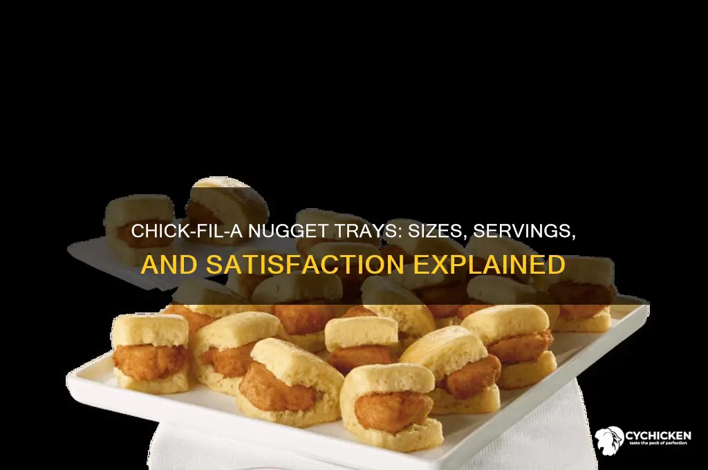 Chick-Fil-A Nugget Trays: Sizes, Servings, And Satisfaction Explained ...