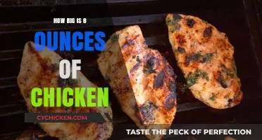 Understanding The Size Of 100 Grams Of Chicken: A Visual Guide | CyChicken