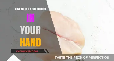 Understanding Portion Sizes: 6-Ounce Chicken Explained | CyChicken