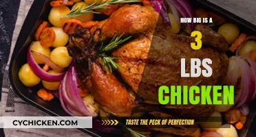 Understanding The Size Of A 4 Oz Chicken Portion: A Guide | CyChicken