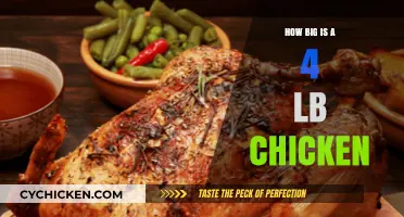 Understanding The Size Of 100 Grams Of Chicken: A Visual Guide | CyChicken