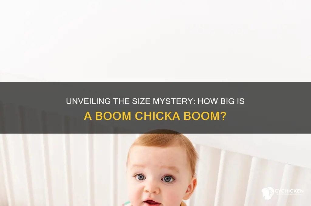 Unveiling The Size Mystery: How Big Is A Boom Chicka Boom? | CyChicken