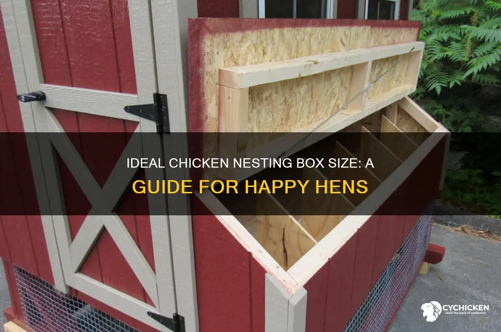 Ideal Chicken Nesting Box Size: A Guide For Happy Hens | CyChicken
