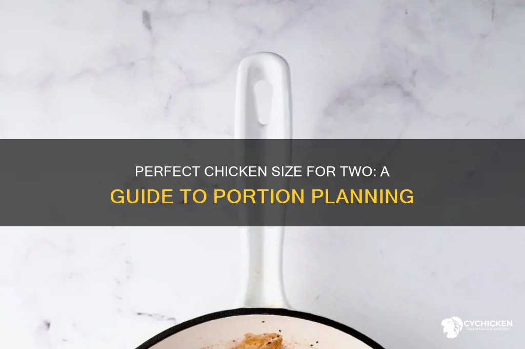 Perfect Chicken Size For Two: A Guide To Portion Planning | CyChicken