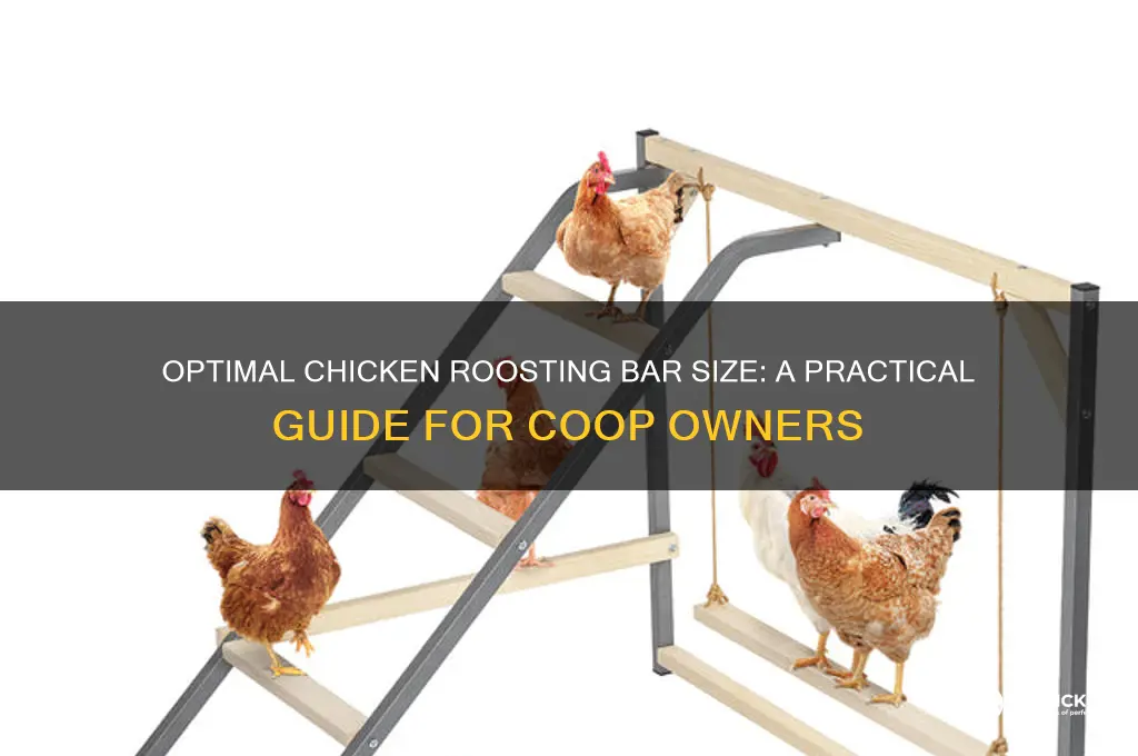 Optimal Chicken Roosting Bar Size: A Practical Guide For Coop Owners ...
