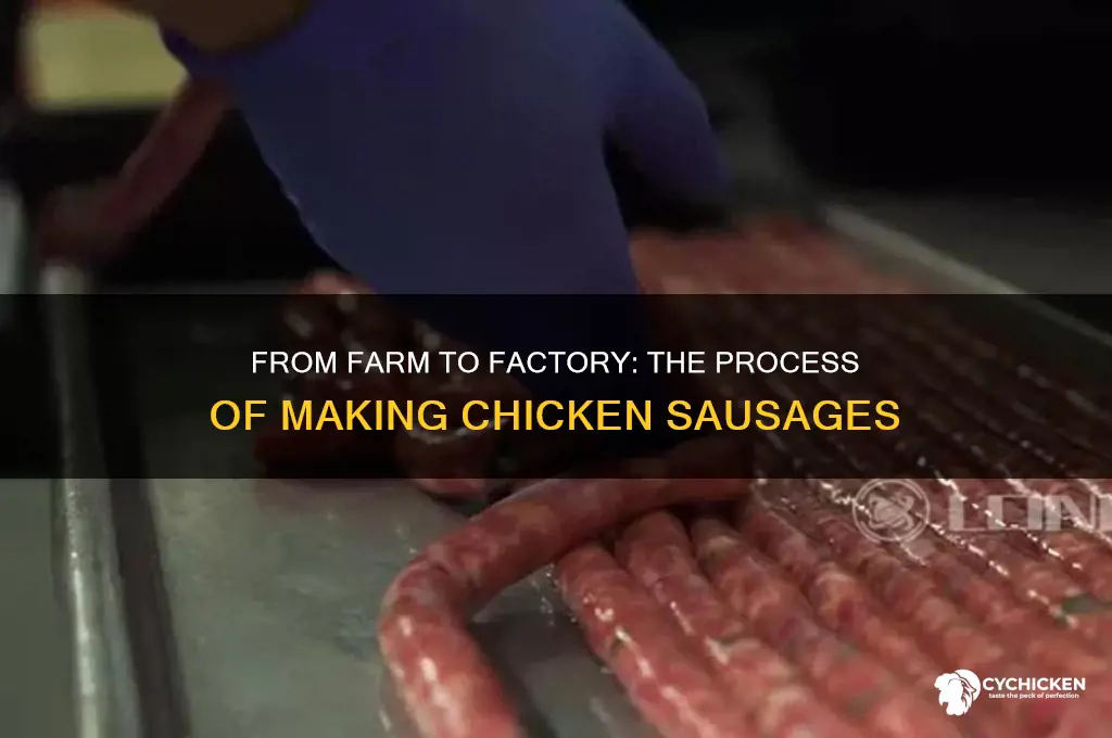 From Farm To Factory: The Process Of Making Chicken Sausages | CyChicken