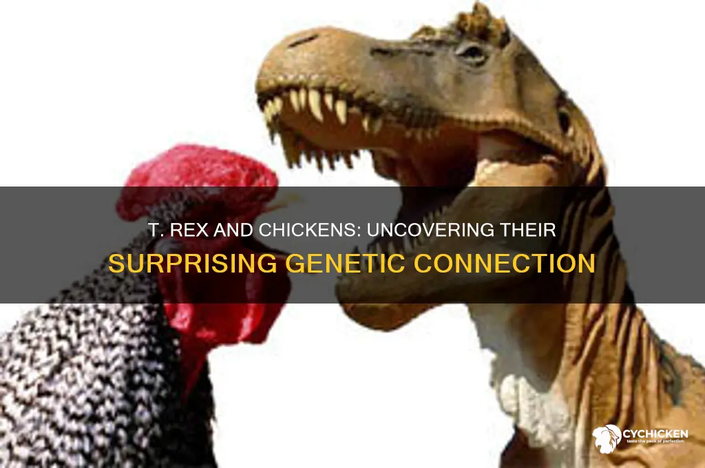 T. Rex And Chickens: Uncovering Their Surprising Genetic Connection ...
