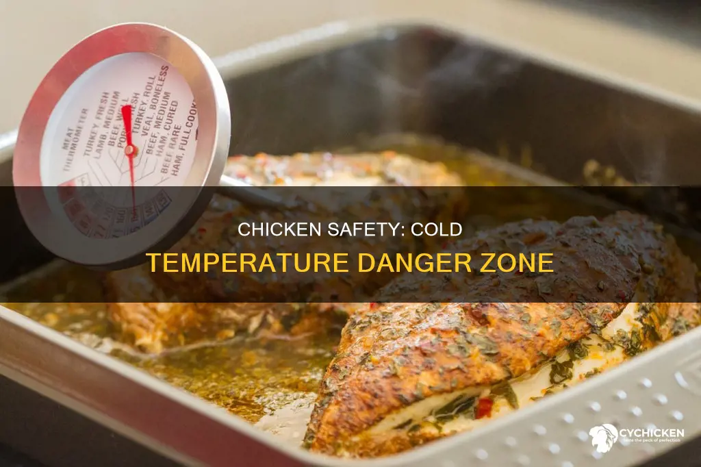 Chicken Safety: Cold Temperature Danger Zone | CyChicken