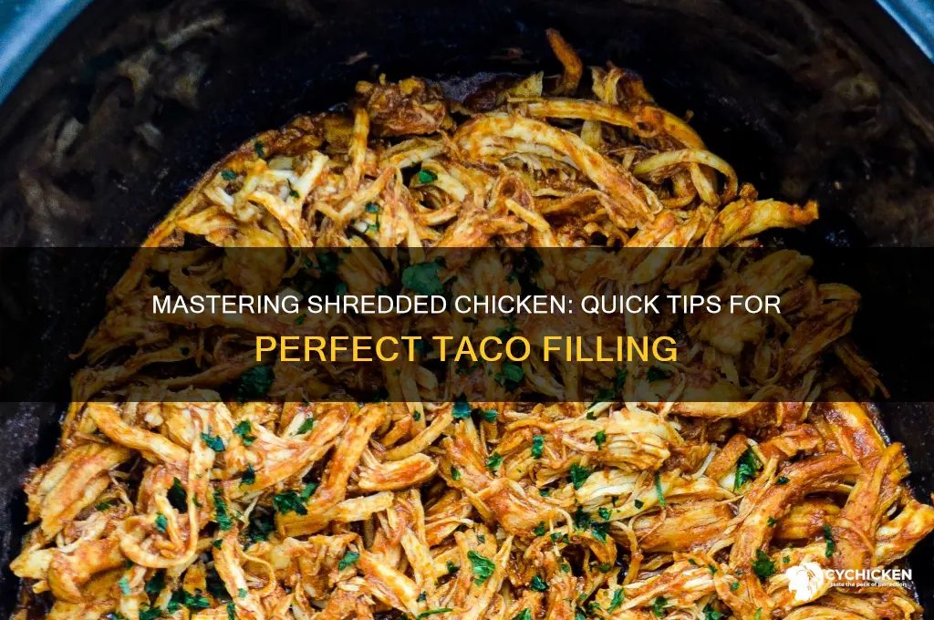 Mastering Shredded Chicken: Quick Tips For Perfect Taco Filling | CyChicken
