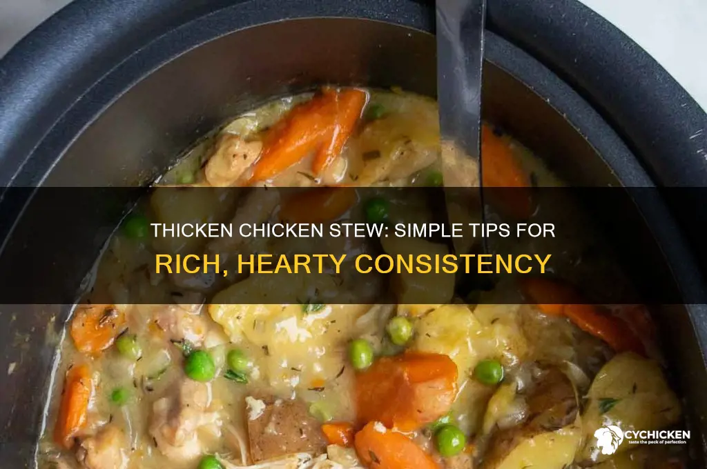 Thicken Chicken Stew: Simple Tips For Rich, Hearty Consistency | CyChicken